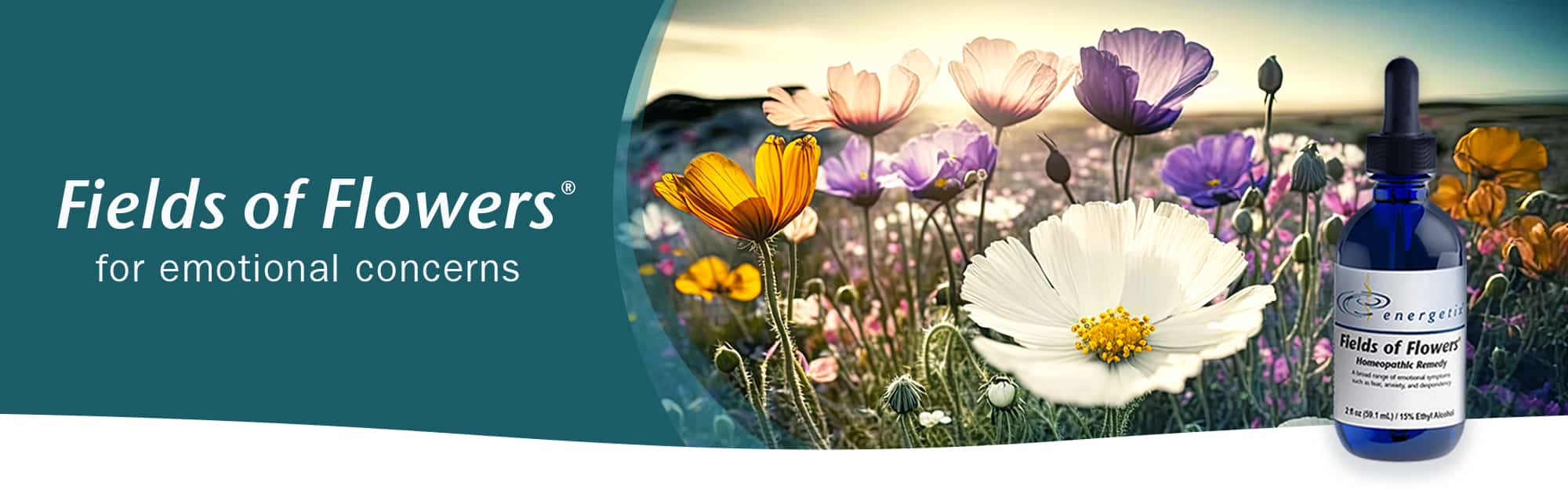 Energetix | Homeopathic, Botanical, & Nutritional Products